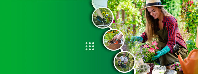 Boon Sales – BoonSales.com