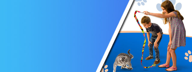 Boon Sales – BoonSales.com